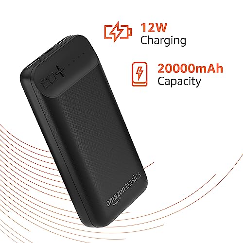 Amazon Basics 20000mAh 12W Lithium-Polymer Power Bank Dual Input, Dual ...