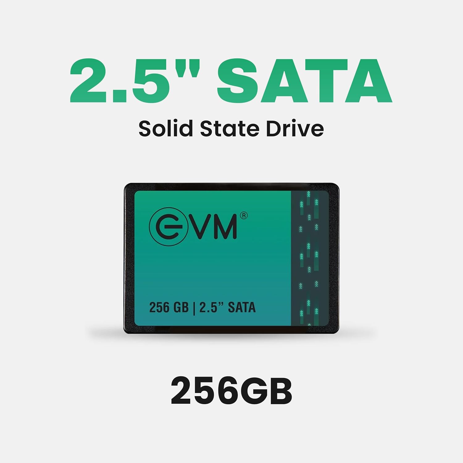 EVM 256GB 2.5-Inch SATA Internal SSD - 550MB/s Read & 500MB/s Write - 5 ...