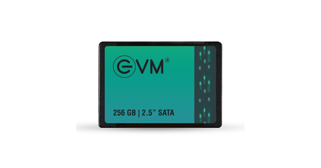 EVM 256GB 2.5-Inch SATA Internal SSD - 550MB/s Read & 500MB/s Write - 5 ...