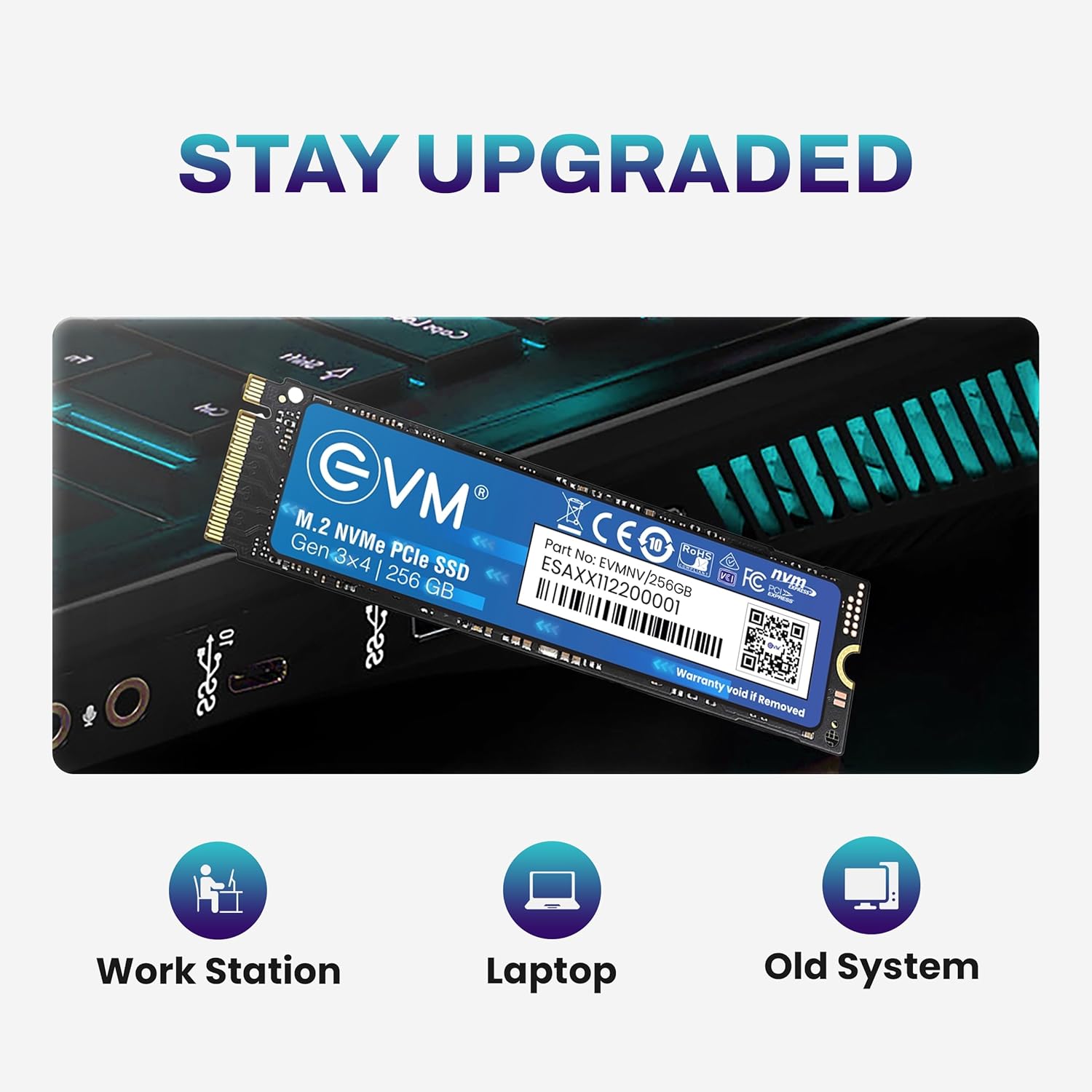EVM 256GB NVMe Gen 3x4 Internal SSD (2280) – Upto 2000MB/s Read ...